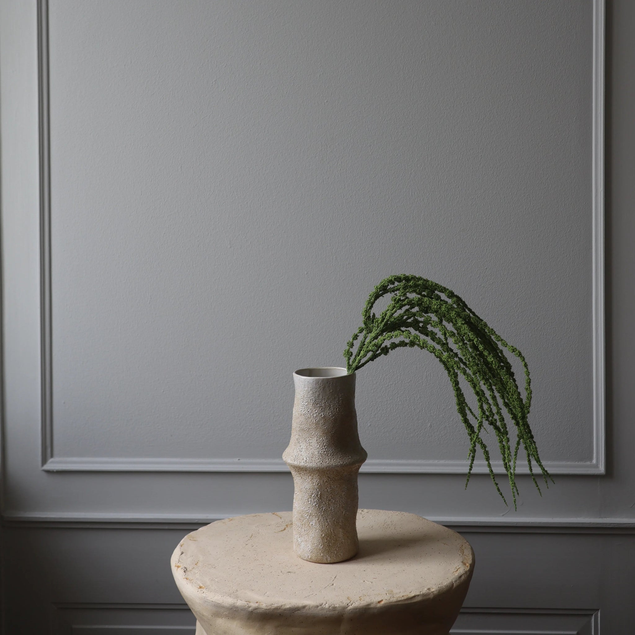 Shop Amaranthus Caudatus "Dreadlocks" Flower from Botané