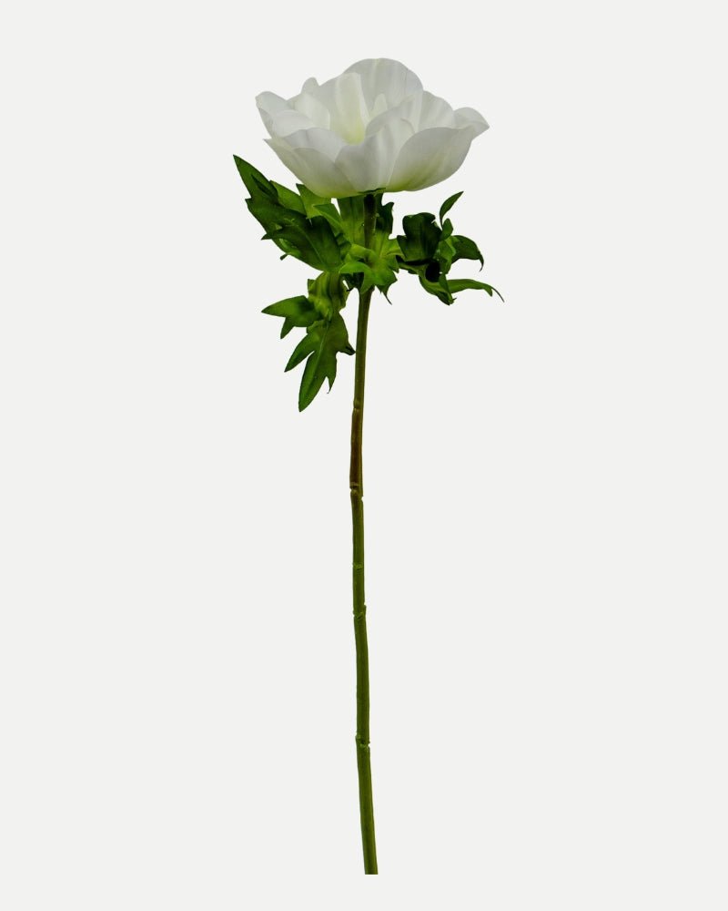 Discover the entire selection of everlasting flowers from Botané – Page 3